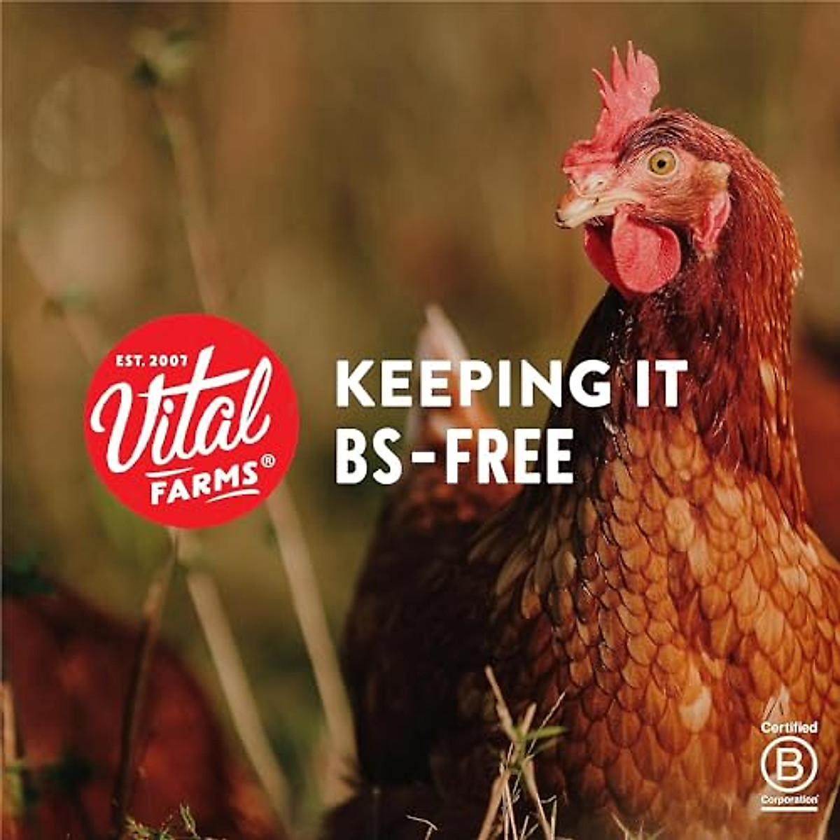 Vital Farms Pasture-Raised, Liquid Whole Eggs, Ready to Pour, 16 oz Carton, Pasteurized