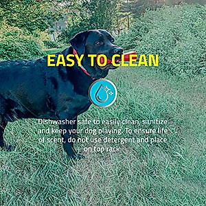 Playology Squeaky Chew Stick Dog Toy, for Large Dogs (35lbs and Up) - for Moderate Chewers - Engaging All-Natural Beef Scented Toy - Non-Toxic Materials