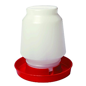 Little Giant® Complete Plastic Poultry Fount | 1 Gallon | Heavy Duty Plastic Gravity Fed Water Container Jar | Waterer for Chickens, Turkeys, Ducks & More | Made in USA | Red