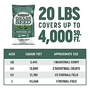 Pennington Kentucky 31 Tall Fescue Grass Seed 20 lb