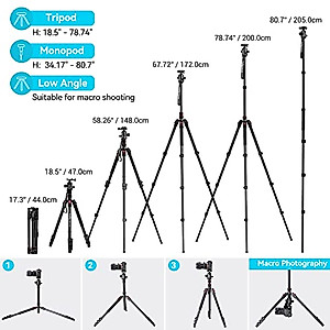 SmallRig 78" Camera Tripod, Foldable Aluminum Tripod & Monopod, 360°Ball Head Detachable and Quick Release Plate, Payload 33lb, Adjustable Height from 18.5" to 78" for Camera, Phone - 3474