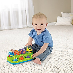 Fisher-Price Brilliant Basics Boppin' Activity Bugs, Pop-Up Infant Toy [Amazon Exclusive]