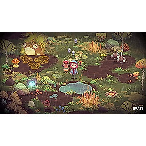 The Wild at Heart - PlayStation 4