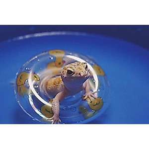 3.74 Inch Lizard Bearded Dragon Leopard Gecko Bath Collar Ring Swimming Rings Reptile Swim Life Jacket Float Ring for Leopard Gecko Anole Amphibians Cage Accessories Photo Shoot Toy (5 PCS)