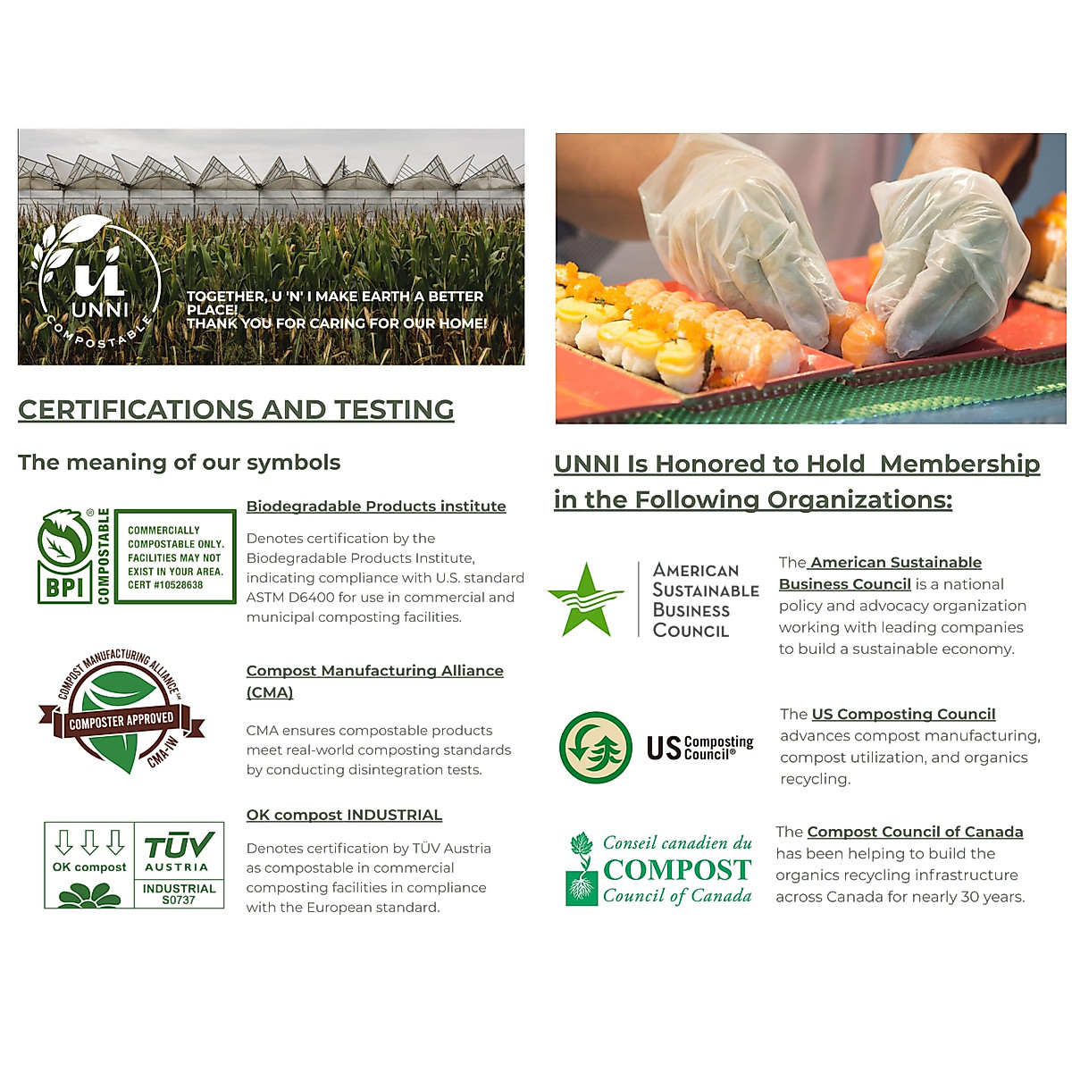 UNNI Compostable Food Prep Gloves, X-Large, 100 Count, Powder-Free, For Food Handling & Cleaning, ASTM D6400, BPI Certified