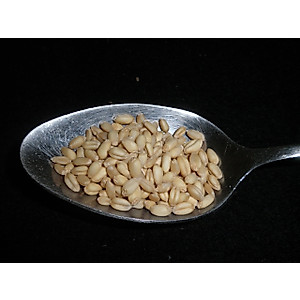 Soft White Wheat Berries 4 Pounds Kernels, USDA Certified Organic, Non-GMO Bulk, Product of USA, Mulberry Lane Farms
