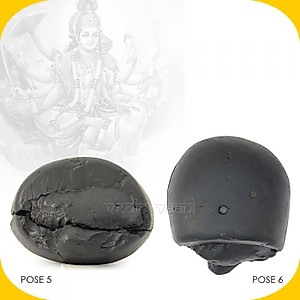 Vedic Vaani Garuda Vishnu Shaligram Shila (Pack of 4)