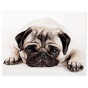 SXCHEN Blankets Plush Sofa Bed Throw Blanket Lazy Pug Dog 60"x80"