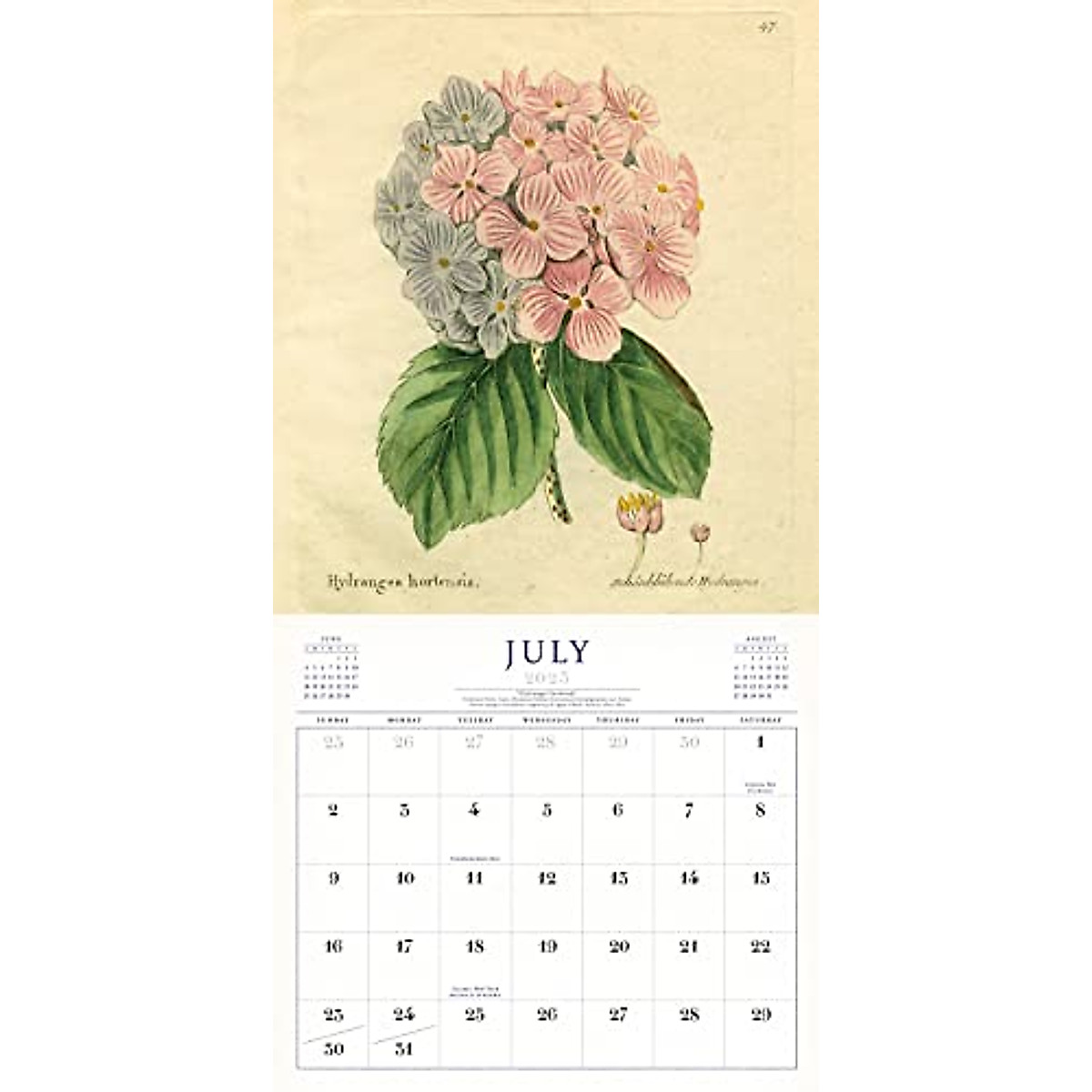 The World of John Derian Wall Calendar 2023: Hand-Colored Works of Art