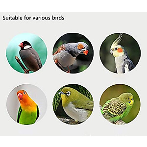 ZYYRT Bird Breeding Box Parakeet Nest Box Budgie Cage Wood House for Parrot, Lovebirds, Parrotlets Mating Box(7.8”x4.8”x4.8”)