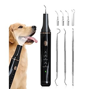 Hansaplast Plaque Remover for Teeth, Dog Teeth Cleaning, Dental Tools to Remove Tartar and Stains, Safe for Dogs & Cats, with Led Light & 5 Adjustable Modes (Black)