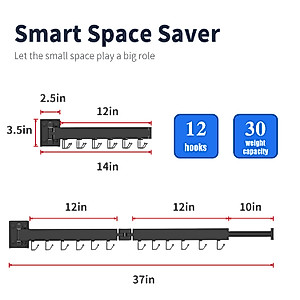 ptlsy Wall Mounted Portable Folding Clothes Drying Rack with Hooks,Space Saver Clothes Hangers Design Universal for Balcony, Mudroom, Bedroom, Kitchen, Foldable Laundry Rack (2-Pole Black)