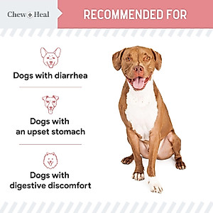 Chew + Heal Labs Anti Diarrhea for Dogs - 2 oz. of Stop The Diarrhea Liquid Supplement with Kaolin - for Diarrhea and Upset Stomach Relief - Made in The USA