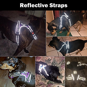 PHOEPET No Pull Dog Harnesses for Small Dogs Reflective Adjustable Front Clip Vest with Handle 2 Metal Rings 3 Buckles [Easy to Put on & Take Off] (S, Orange)