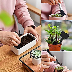 Benvo 20 Pieces Succulent Plants Tools Mini Garden Transplanting Set for Fairy Garden Planting, Miniature Plant Care of Cactus, Houseplant, Bonsai Plants Tools Kit