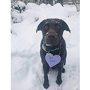 124 in a Pack- Valentine's Large Creative Cut-Out Set, 4 assortments Hearts, 5.5” Cut-Outs Classroom Décor, Valentine's Day Theme, and Craft Activities for Kids