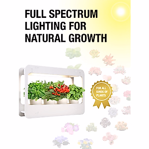 TORCHSTAR LED Indoor Herb Garden, CRI 95+, Herb Grower Light with Timer, Indoor Gardening System, Full Spectrum Light, 24V Garden Kit for Plant Grow Novice, White, 4000K, Pots & Plants Not Included