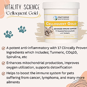 Vitality Science Celloquent Gold for Cats | Holistic Advanced Immune Support Supplement | 17 Synergistic Ingredients | Auto Immune, Vomit and Diarrhea, Depression (60g)