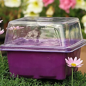 cdar Plant Starter Tray,Nursery Tray,Plant Starter Kit with Dome,Multi-compartments High Survival Rate Plant Flower Grow Box,Propagation Tray for Plant Growing Starting Purple S