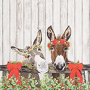 C&F Home Christmas Donkey Christmas Holiday Machine Washable Cotton Towel Decor Decoration 18" x 27" Cream