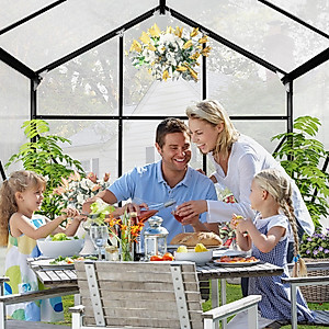 Zstar 6x6 FT Polycarbonate Greenhouses with Sliding Door and Adjustable Vent Window, Heavy Duty Outdoor Aluminum Walk-in Green House for Outdoor Garden Backyard, Greenhouses for Outdoors, Black