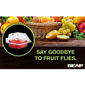 BEAPCO 10036 7 Red 6-Pack Premium Fruit Fly 6 Pre-Filled Trap Flies Indoors | Easy Effective and Safe to Use | Food-Based Lure/Bait Catcher