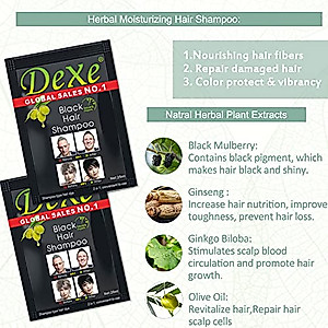 10 PCS Dexe Black Hair Shampoo Instant Hair Dye for Men Women Black Color - Simple to Use - Hair Dye Permanent - Last 30 days - Natural Ingredients, Black Hair Dye Shampoo Great Choice for Woman&Man