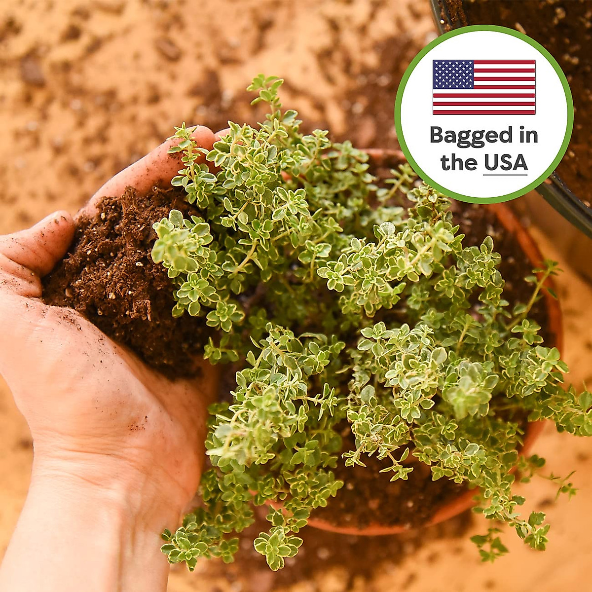 Perfect Plants Indoor Plant Soil 8qt | Perfectly Balanced Potting Mix | Gardening Substrate for All Varieties of Live houseplants