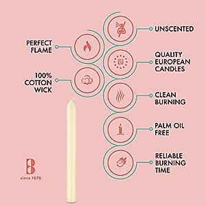 BOLSIUS 10 Count Household Ivory Dinner Candles - 9 Inches - Premium European Quality - Approx. 8 Hours Burn Time - Unscented Dripless and Smokeless, Restaurant, Wedding, Spa, and Party Candlesticks