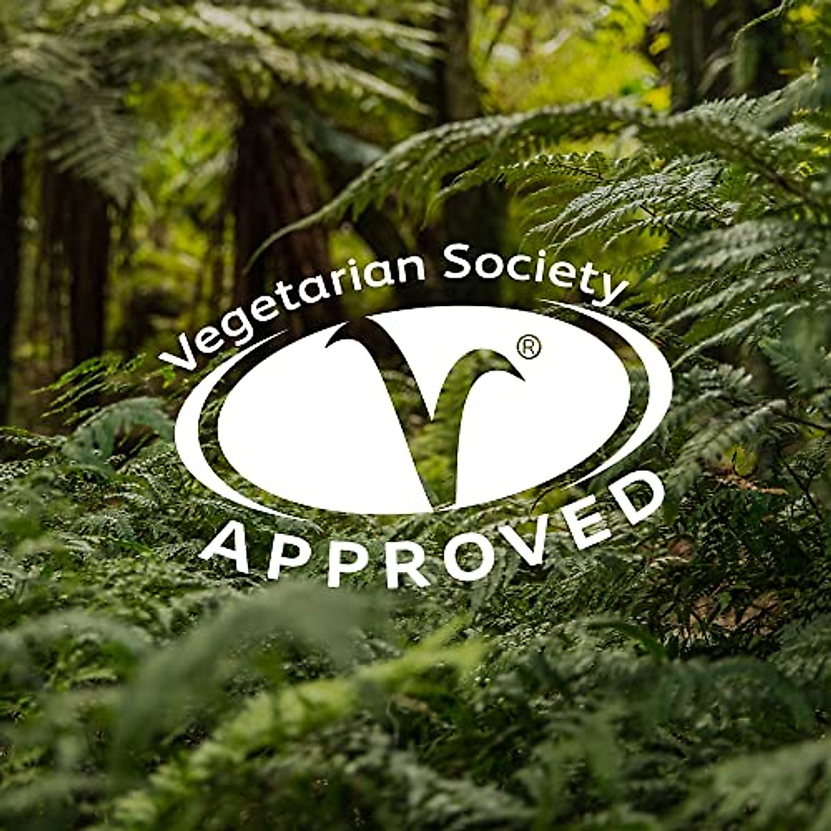 ANTIPODES Vanilla Pod Hydrating Day Cream ? Anti Aging Face Moisturizer For Dry Skin ? with Rosehip Oil, Avocado Oil & Antioxidant Skincare Ingredients ? Dry Skin & Normal Skin ? 60ml, 2 fl. Oz