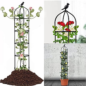 Actaday Trellis for Potted Plants, 6FT Garden Potted Plant Support, Rustproof Outdoor Climbing Plant Support with Plastic Coating,Garden Obelisk Trellis for Vine Ivy Roses Clematis Outdoor Decor