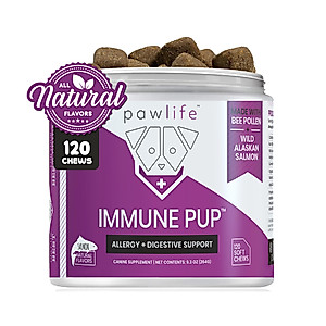 Pawlife All Natural Immune System Booster| Anti Allergy & Anti Itch for All Pups| Salmon Oil with Probiotics for Digestive Support|120 Veterinarian Formulated Soft Chews| Up to 4-Month Supply