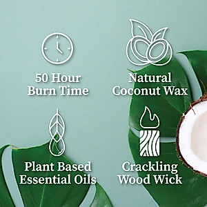 Hemlock Park Travel Inspired Passport Crackling Wood Wick Candle Handcrafted with Natural Plant-Based Coconut Wax (Big Sur | Mountain Mahogany, Sage, Redwood, Standard 7.2 oz)