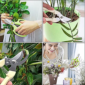 Sunnyac Garden Pruning Shears Scissors, 2 Pack Gardening Tools Hand Pruners, Floral Secateurs, Tree Trimmer, Clippers for Cutting Flowers and Plants, Trimming Branches, Bonsai, Fruits Picking (Color1)