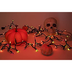 100 Count Halloween Lights Outdoor, Indoor | Purple Green, Orange Mini Lights | Outdoor Halloween Lights | Halloween Lights Indoor | Halloween String Lights | Black String Lights