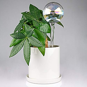 [2 PCS] Light Iridescent Rainbow Gradient Color Clear Glass Self-Watering System Spikes, Aqua Globes Automatic Plant Waterer Bulbs