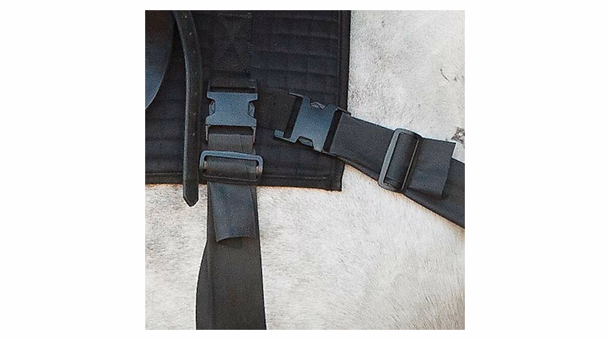 Equiband Equicore Complete System for Large Horses