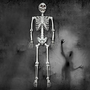 5.4Ft/165cm Halloween Skeleton Full Body Life Size Human Bones with Movable Joints for Indoor Outdoor Halloween Props Decorations