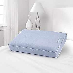 Beautyrest 98137-3020 Silver Aquacool Memory Foam Pillow with Removable Cover, Standard/Queen