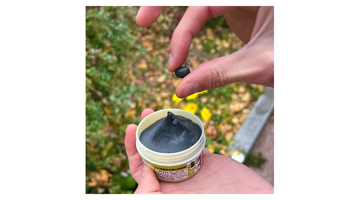 Kiyonal Bonsai Cut Paste - Essential Pruning Sealer