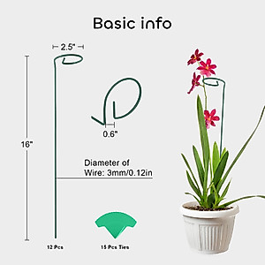 GROWNEER 12 Packs 16 Inches Garden Flower Support Plant Support Stakes, with 15 Pcs Plant Labels, Single Plant Stem Flower Support for Flowers, Orchid, Peony, Lily, Rose