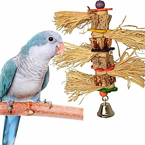 Super Bird Creations Tassel Time Bird Toy 9.5" x 7"