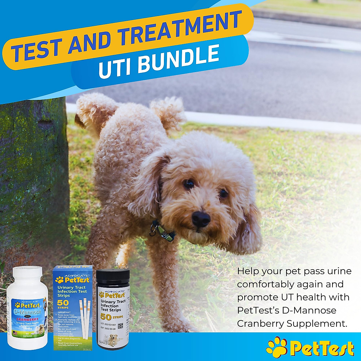 Pet UTI Health Bundle: PetTest UTI Test Strips + D Mannose Cranberry Supplement for Dog UTI Treatment and Cat UTI Remedy - Easy Home Urinary Tract Infection Detection & Support Cats & Dogs