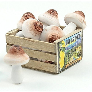 Meyer Imports Mini Wooden Mushroom Decoration (6 Piece) - Miniature Mushrooms for Fairy Garden Art/Crafts/Dollhouse/Figurines Decor - Natural