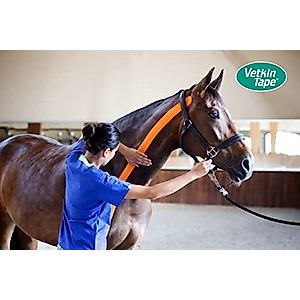 VETKIN VetkinTape® Veterinary Kinesiology Tape Red | Kinesiology Tape for Horses & Dogs | Equine & Canine Kinesiotape | Latex Free and TÜV Quality Mark Certified Ktape | 1.2 inch | Pack of 2 Rolls