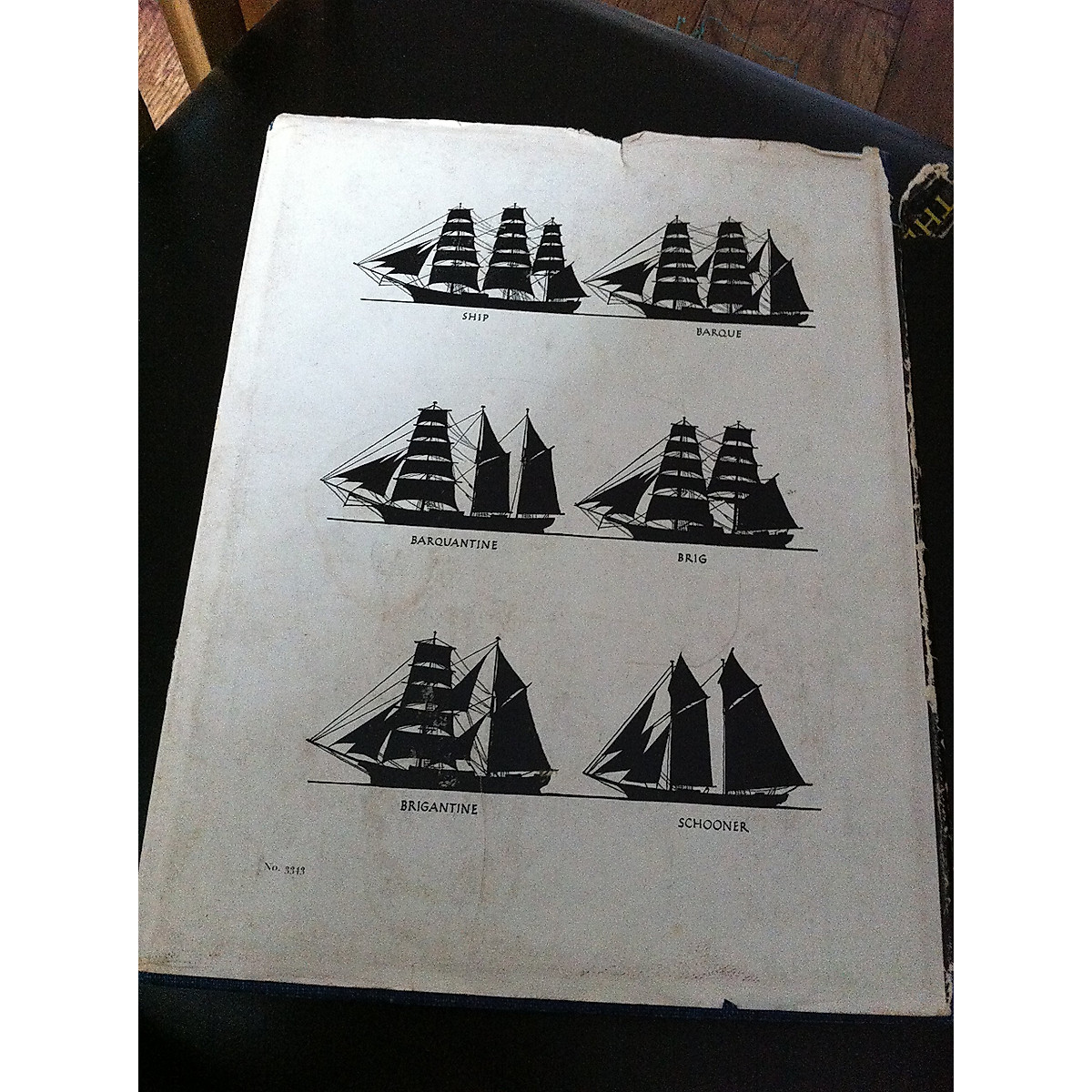 The Sailing Ship: A Study in Beauty