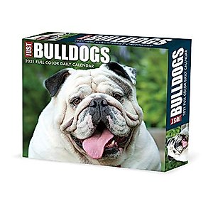 Just Bulldogs 2021 Box Calendar (Dog Breed Calendar)