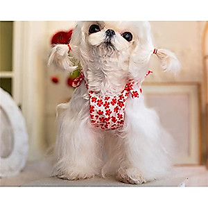 IULJH Pet Clothes Puppy Dress Dog Dress Summer Red Lace Flower Princess Costume (Color : D, Size : Lcode)