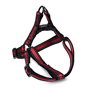 Mile High Life Night Reflective Double Adjustable Band Nylon Small Puppy Pet Dog Combo Collar Leash and Harness Set (Reflective Edge Red, Small (Pack of 3))