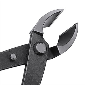 Garden Clipper 205mm 8 inch Garden Branch Cutter Forged Steel Round Edge Beginner Scissors Cutter Bonsai Tools
